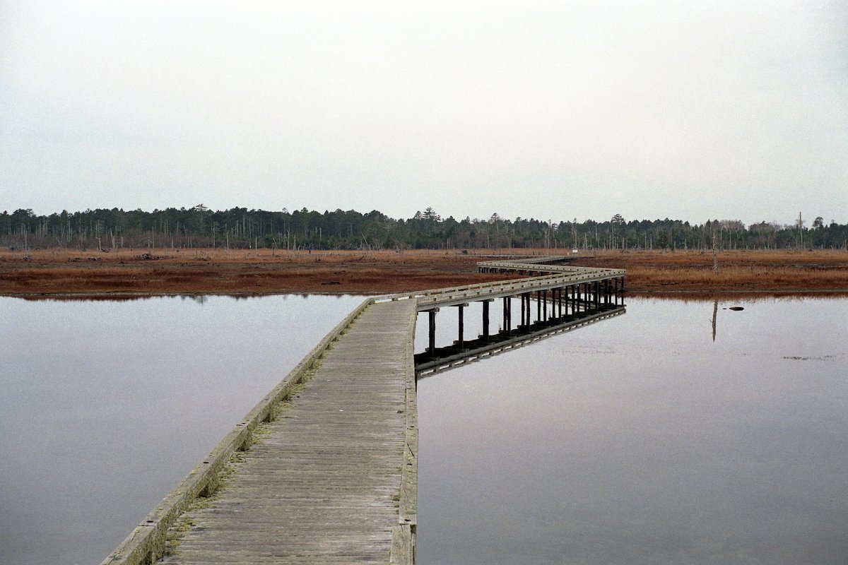 25年11月 道東 スーパージレッテ(3)｜robert_oku