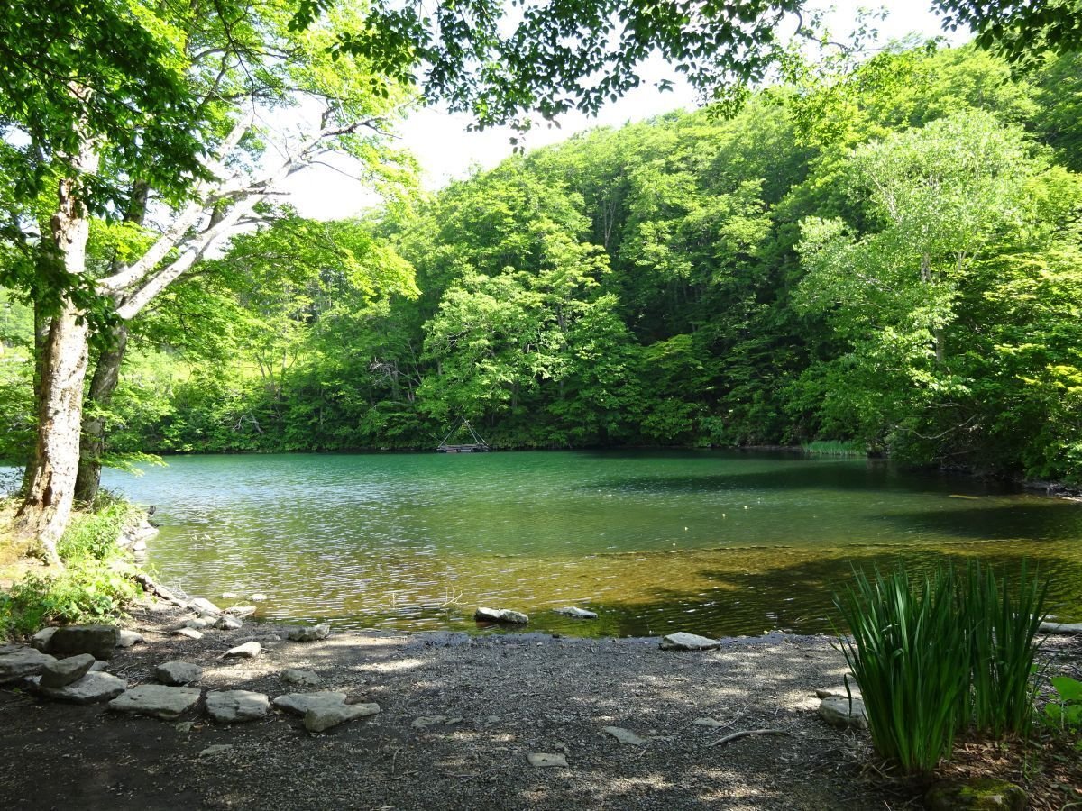 巳年の最後に蛇を文化的視点から見る その1 ～Learning, Turning in the Aspic｜睦夢夕