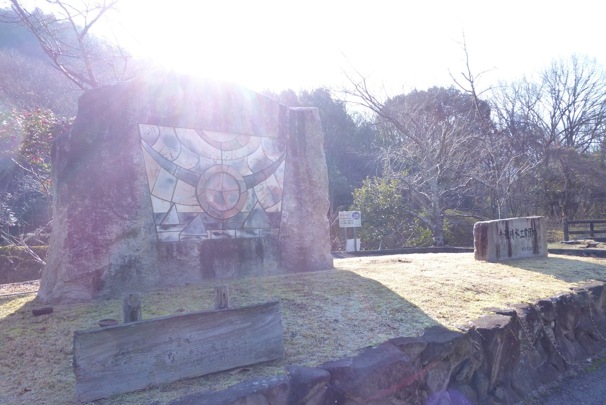 写真日記「苔をアップで撮ってみたら」｜ともた