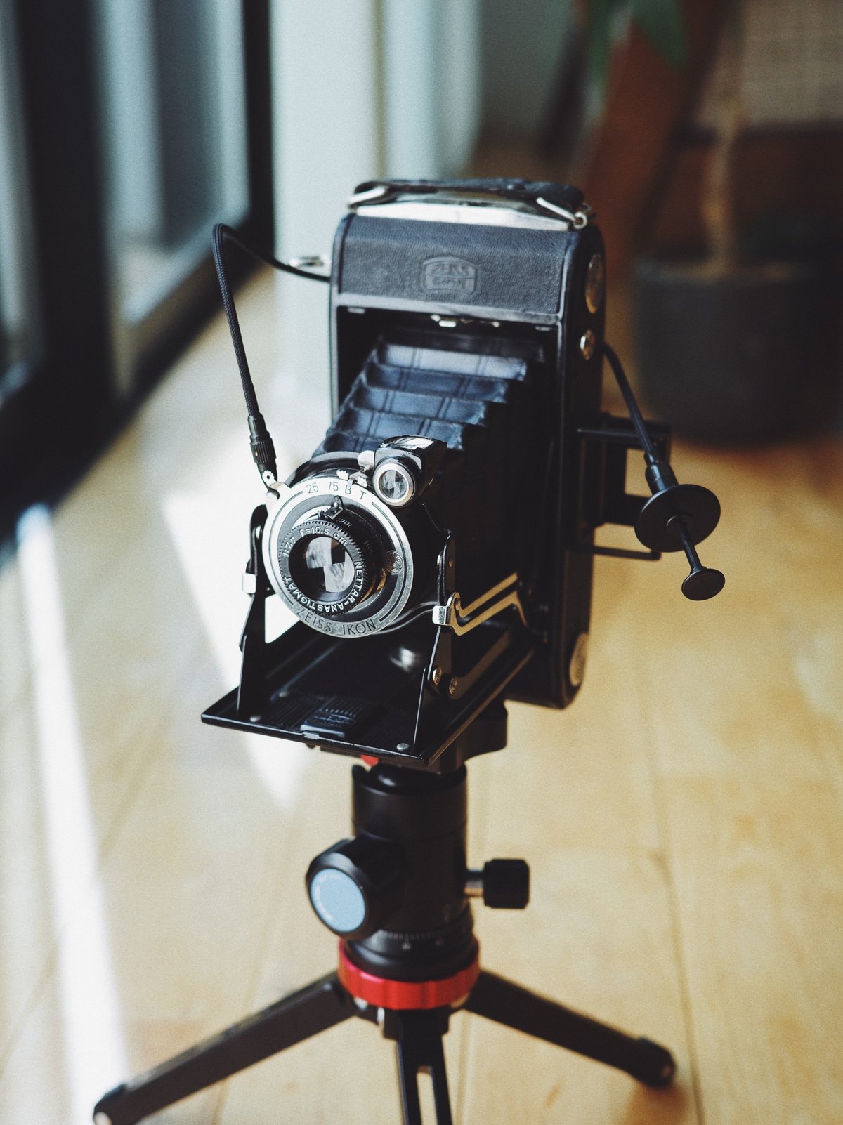 2025年のMNG総ざらい｜本間 恭介 / MARKS BRANDING inc.