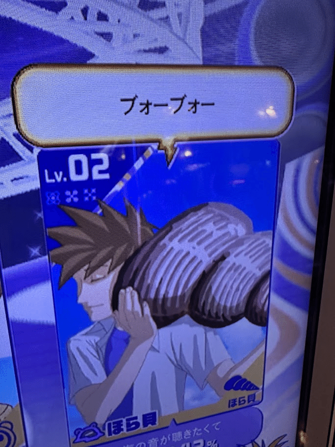 2025年を写真で振り返る｜もこねこ