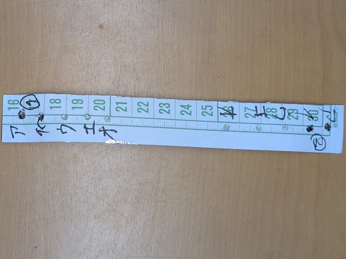 身近なものを使ってマクロ撮影用ディフューザーを自作｜Journal of Insect Photography