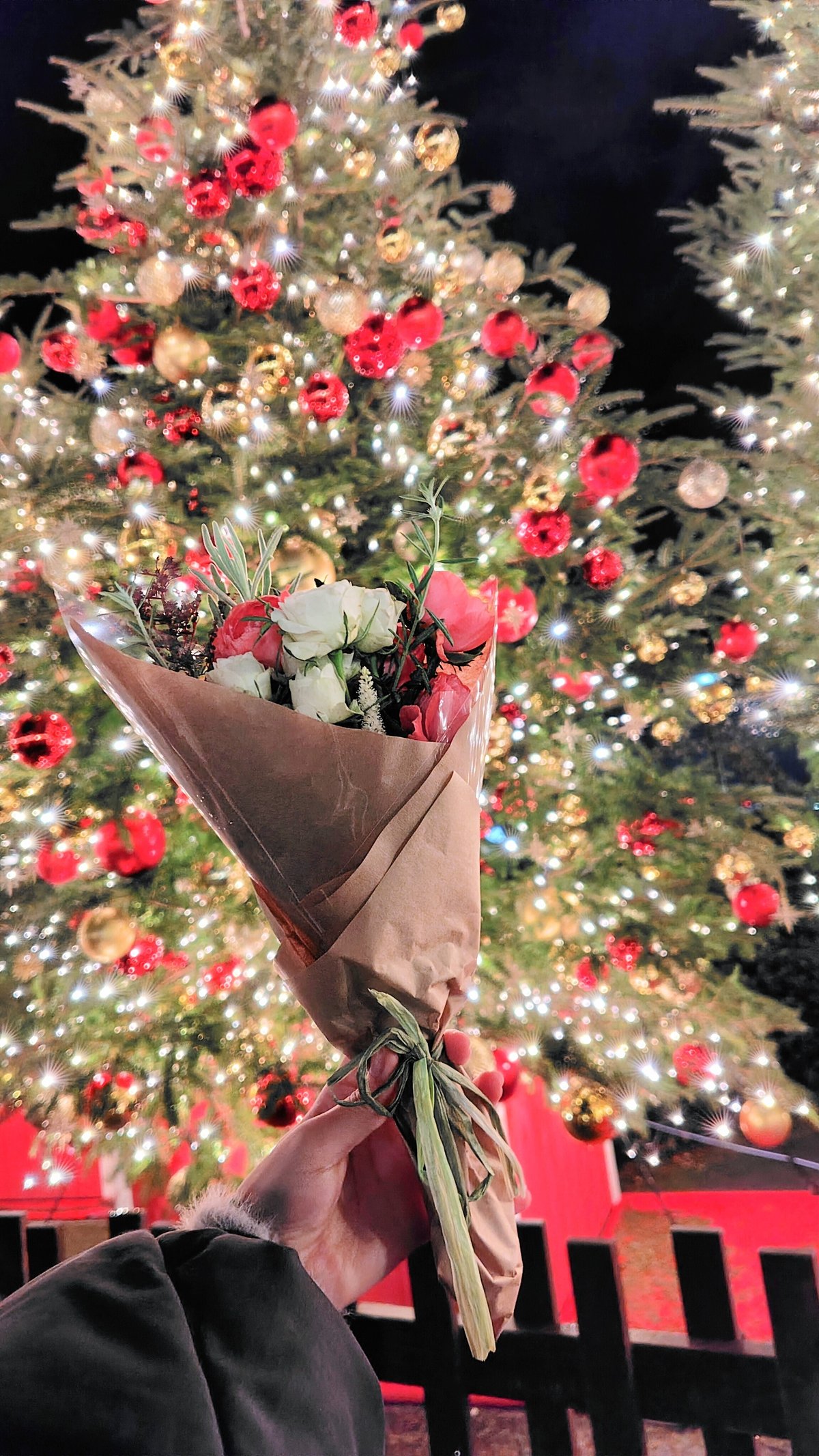 2025振り返り～noteと日常～｜Chaco