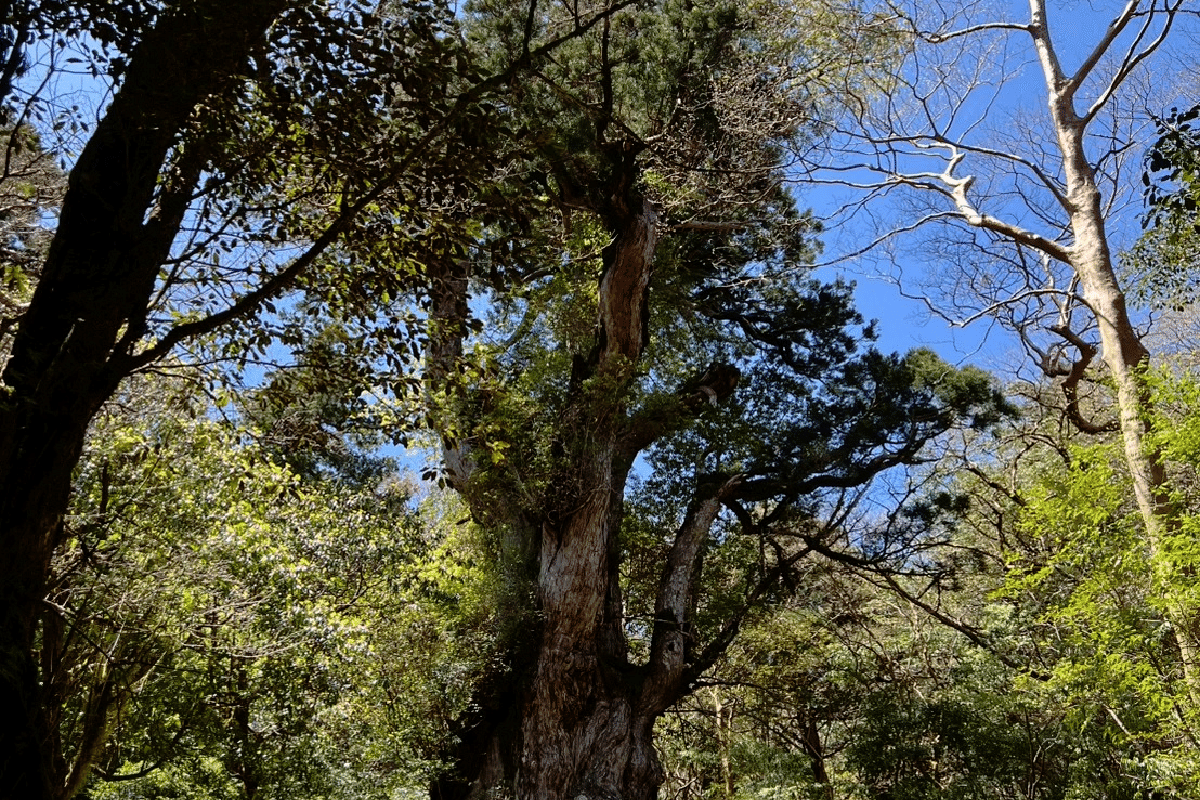 【自己紹介】生活支援員がもう一度、デザイナーを目指すまで｜さかた ぽんすけ