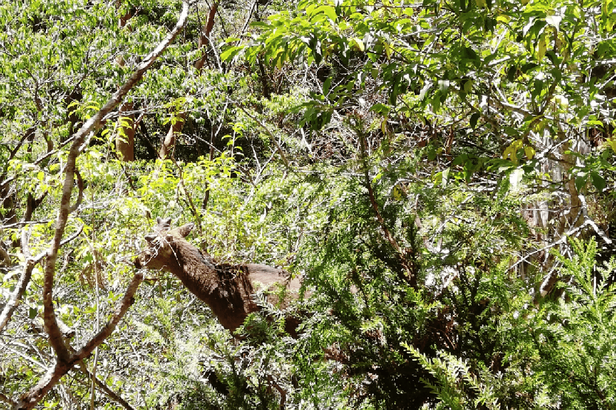 【自己紹介】生活支援員がもう一度、デザイナーを目指すまで｜さかた ぽんすけ