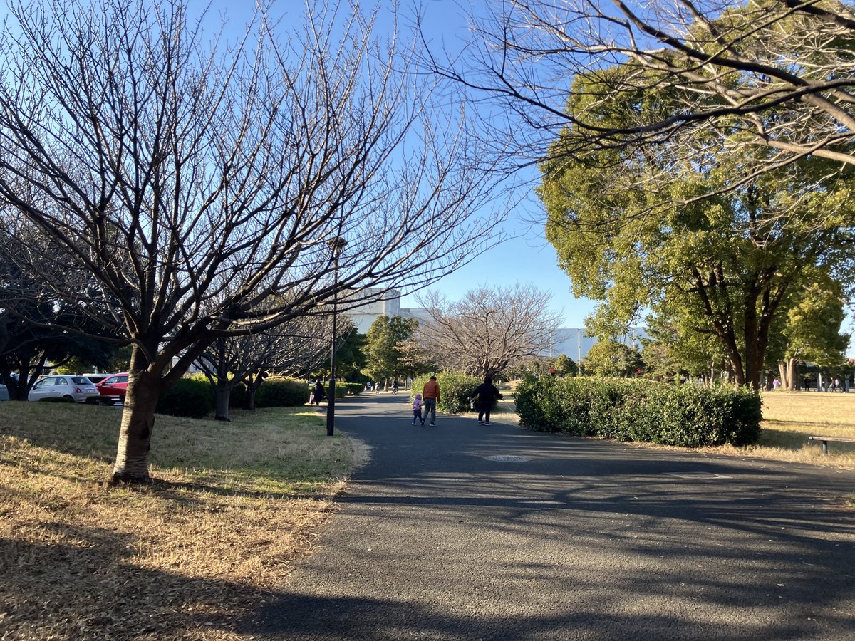 また来てみた ️｜まめ