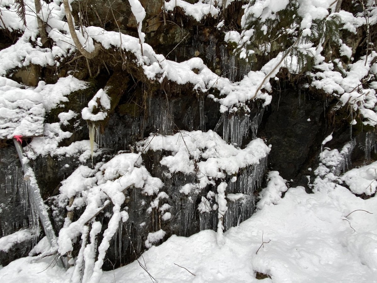 今年のしめ縄｜八重樫理彦 Yaegashi Yoshihiko