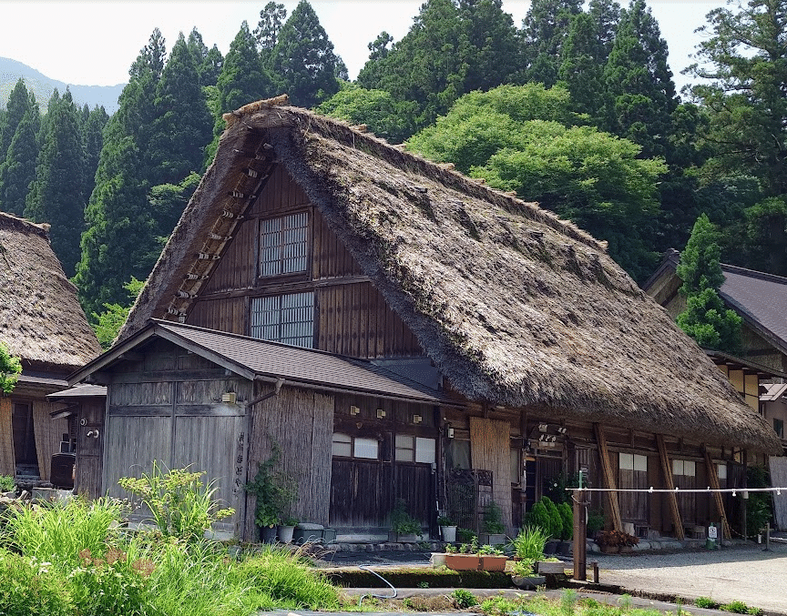 【FIRE】47都道府県制覇…次は世界征服か（笑）｜Mitaka Dai