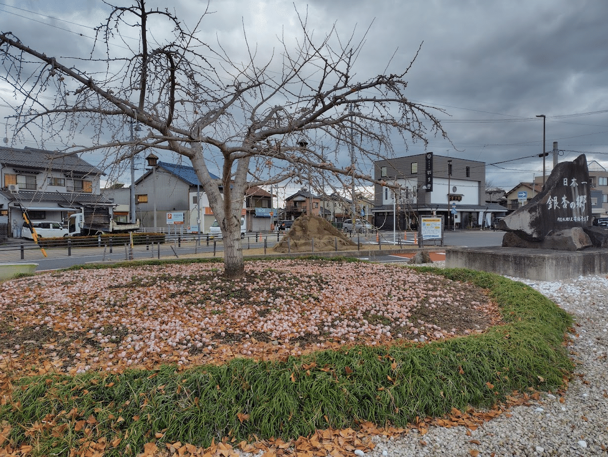 祖父江砂丘（愛知県稲沢市祖父江町）｜t-oshima