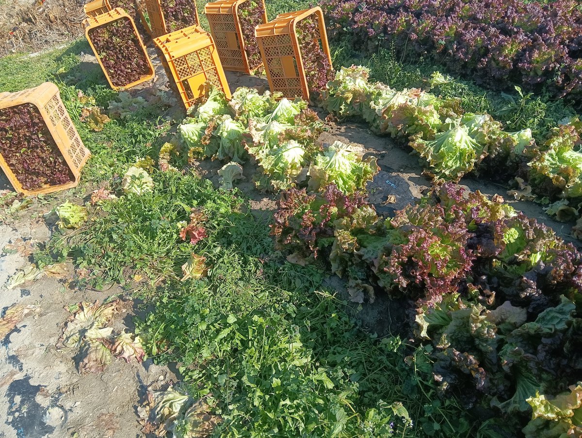 人類最大の能力！集中力｜介護ヘルパー