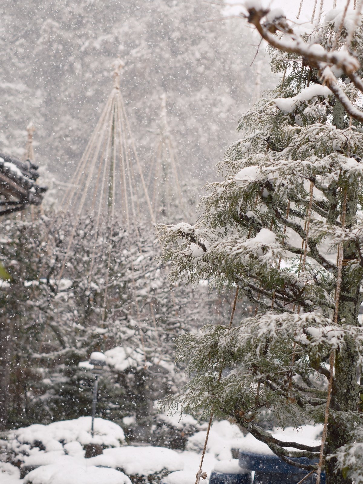 再びバスクへ― スペイン就労ビザ奮闘記③―｜梅田 優希/Masaki Umeda
