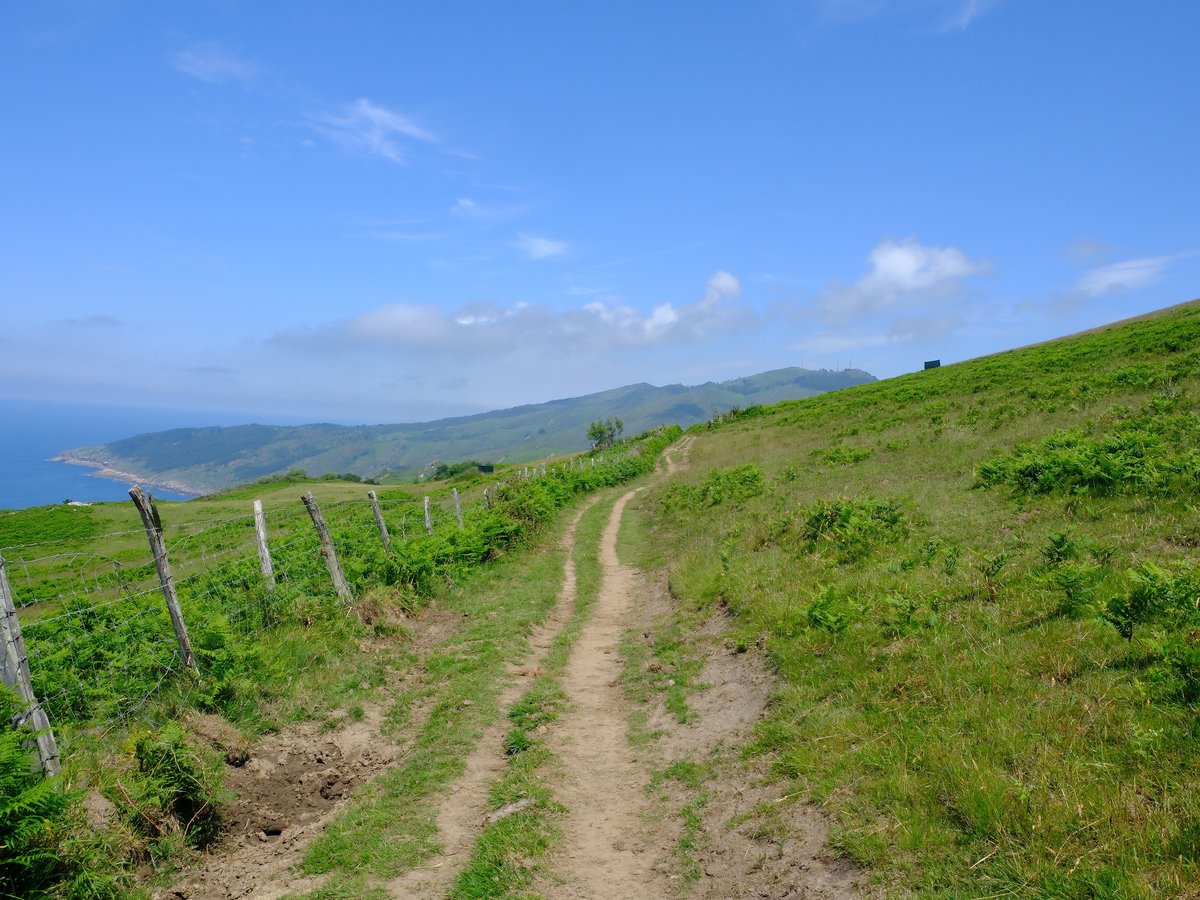再びバスクへ― スペイン就労ビザ奮闘記③―｜梅田 優希/Masaki Umeda