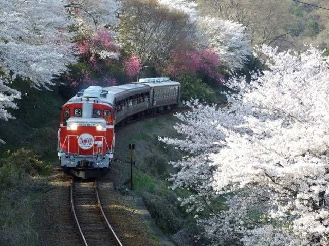 What is the Watarase Keikoku Railway｜PlayGo