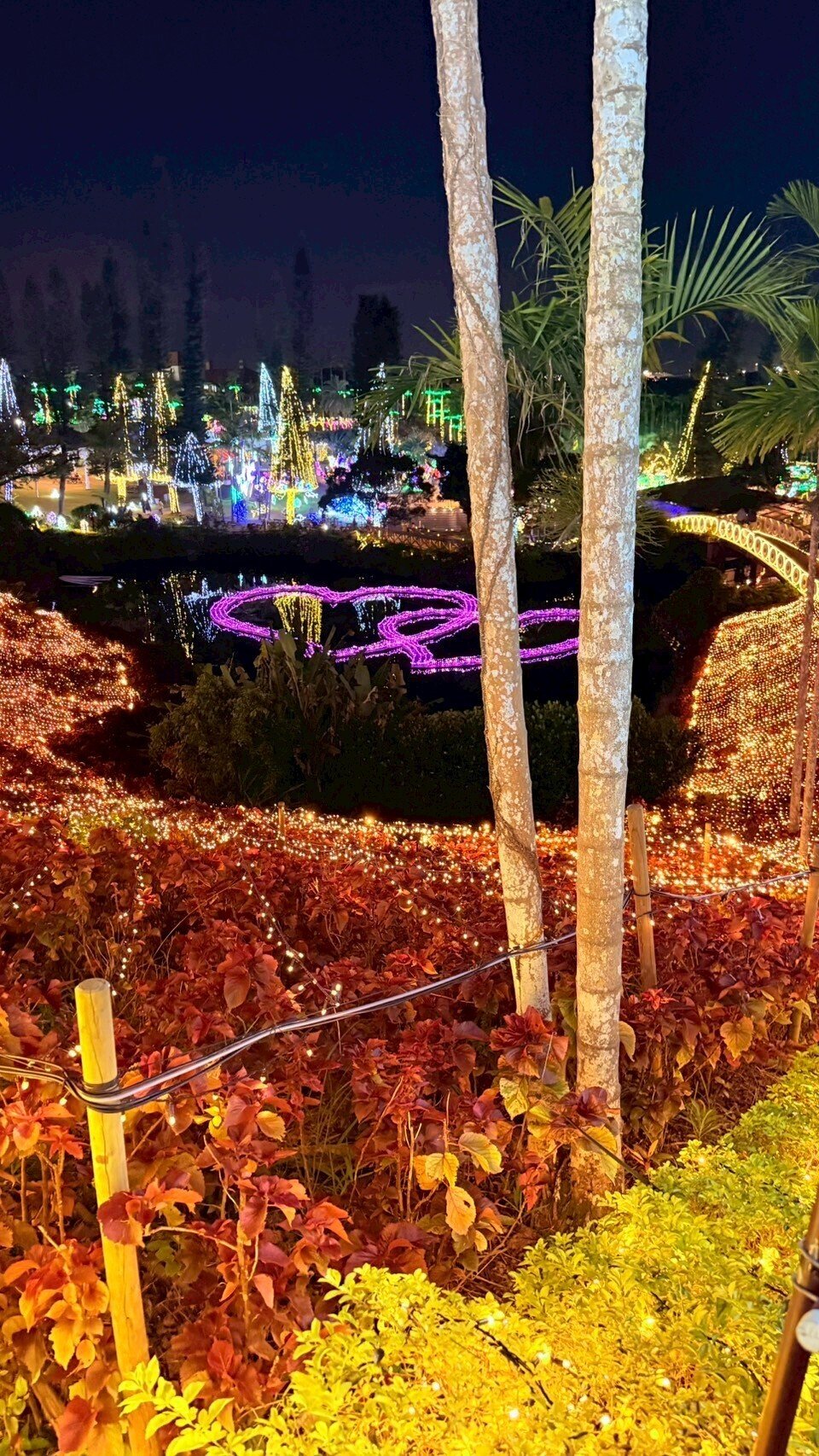 光と緑が織りなす幻想空間へ｜docshin