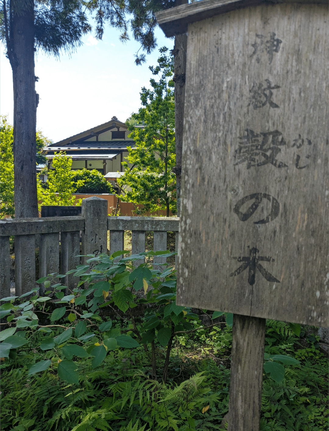 神社から織物一族の足跡を追った一年の推し活記録｜シロナ