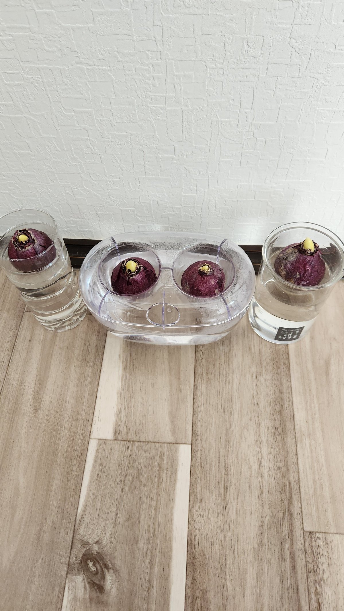 ヒヤスンス始めた～ 冬の彩り｜なほ｜照らし、照らされるライフコーチ