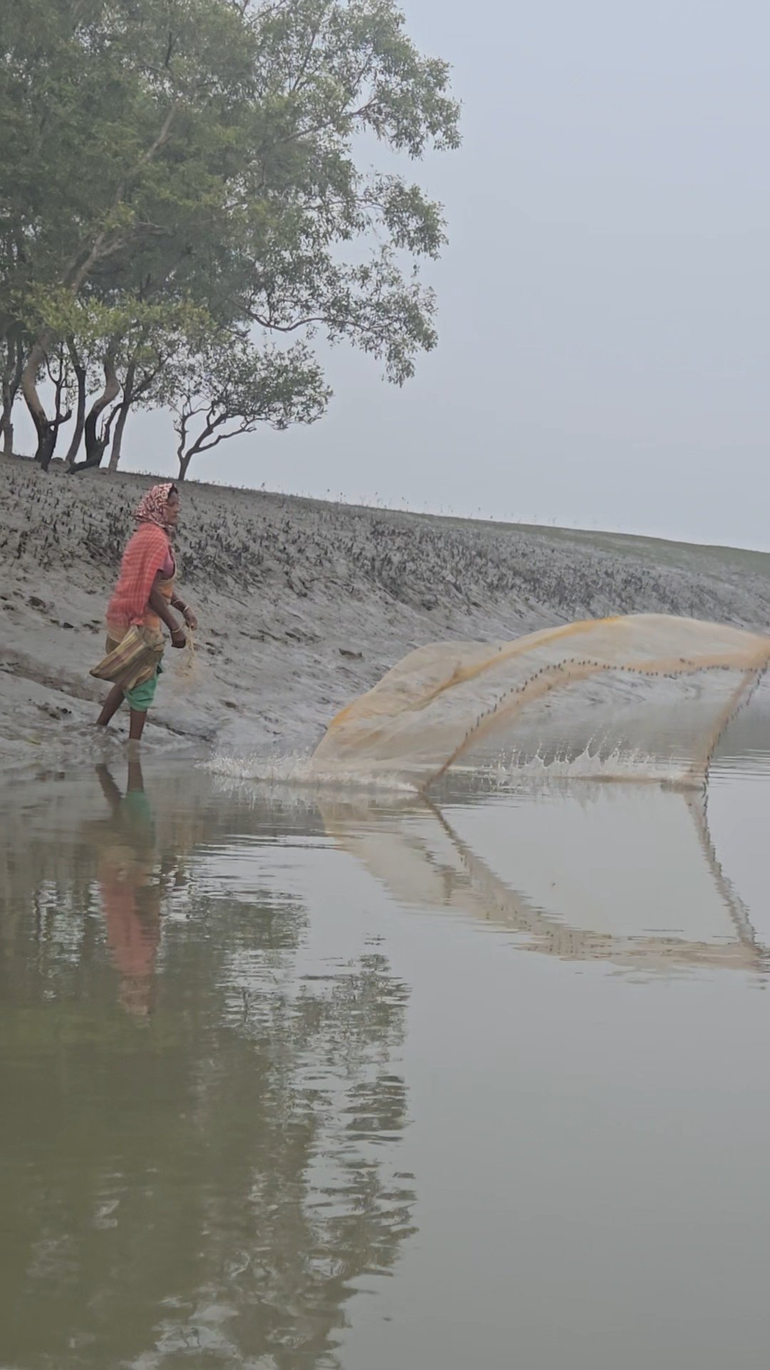 世界最大の三角州で自然のことを考える｜Natsu@コルカタ🇮🇳