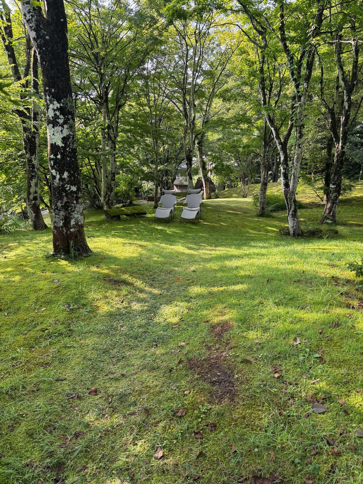 My Recommended Luxury RYOKAN in Japan: A Japanese Local's Guide to an ...