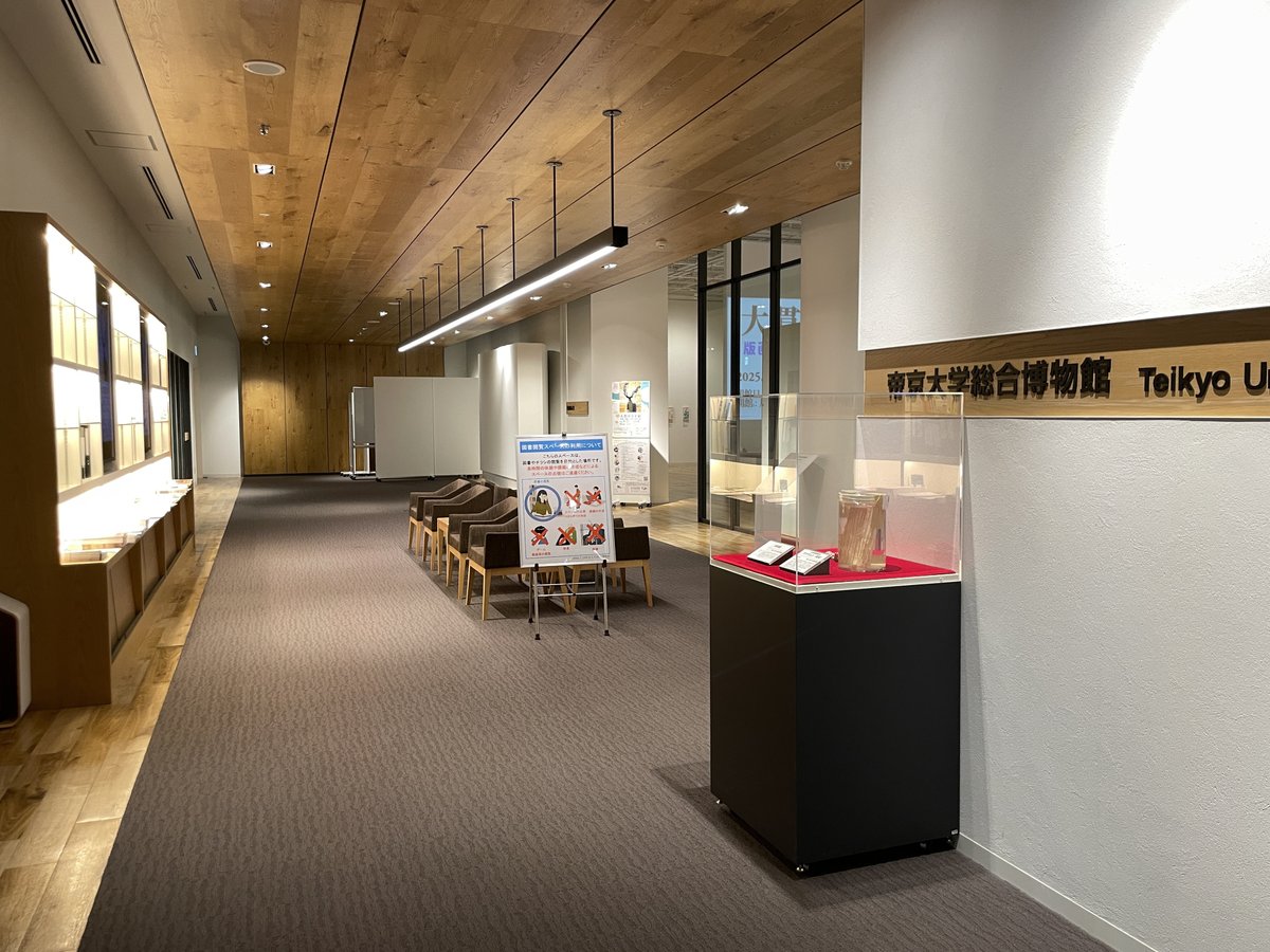 【すごい博物館146】帝京大学総合博物館（TUM）：10学部の総合大学、文武両道の底力とは！｜ムッシュカブ