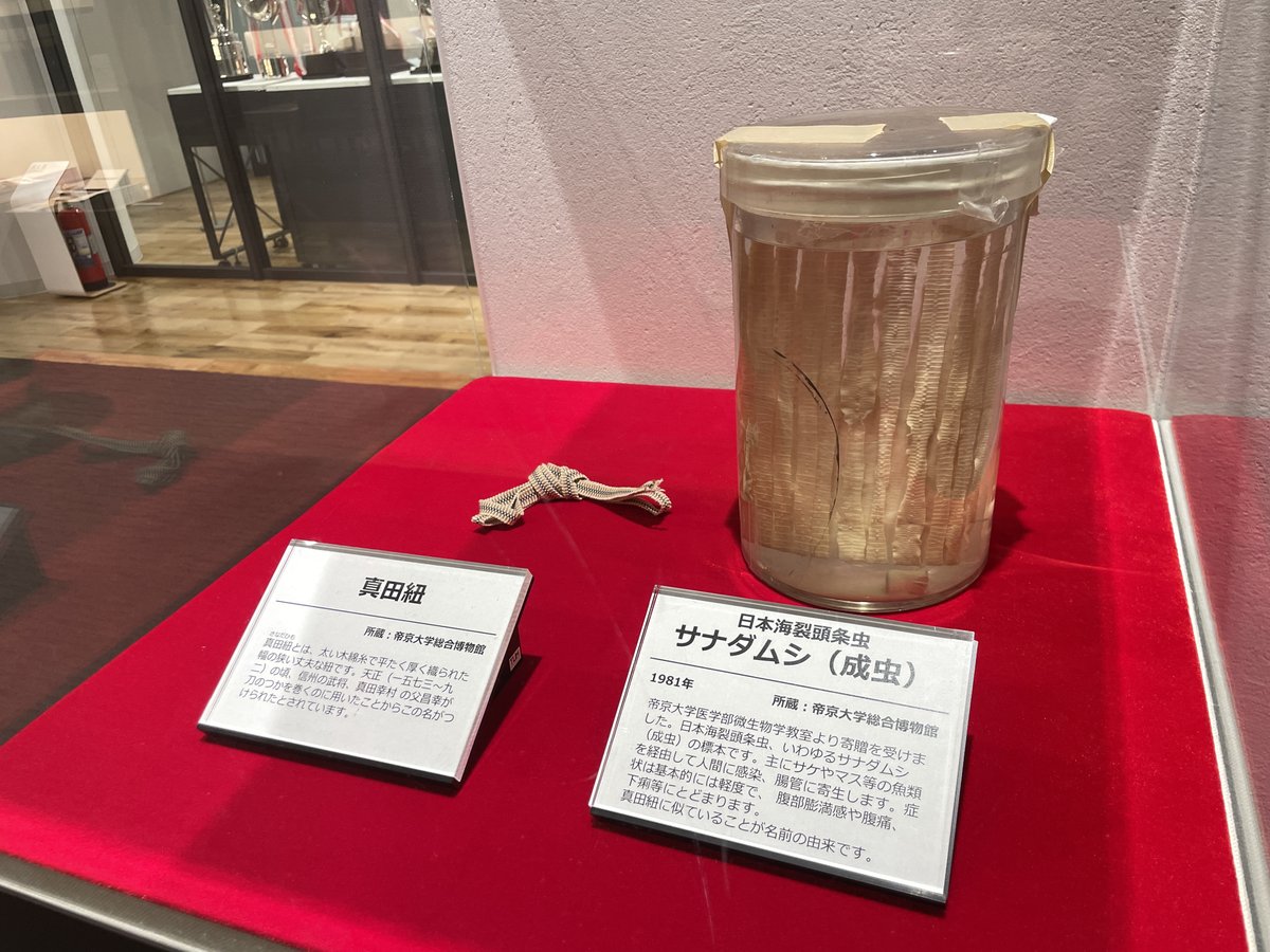 【すごい博物館146】帝京大学総合博物館（TUM）：10学部の総合大学、文武両道の底力とは！｜ムッシュカブ