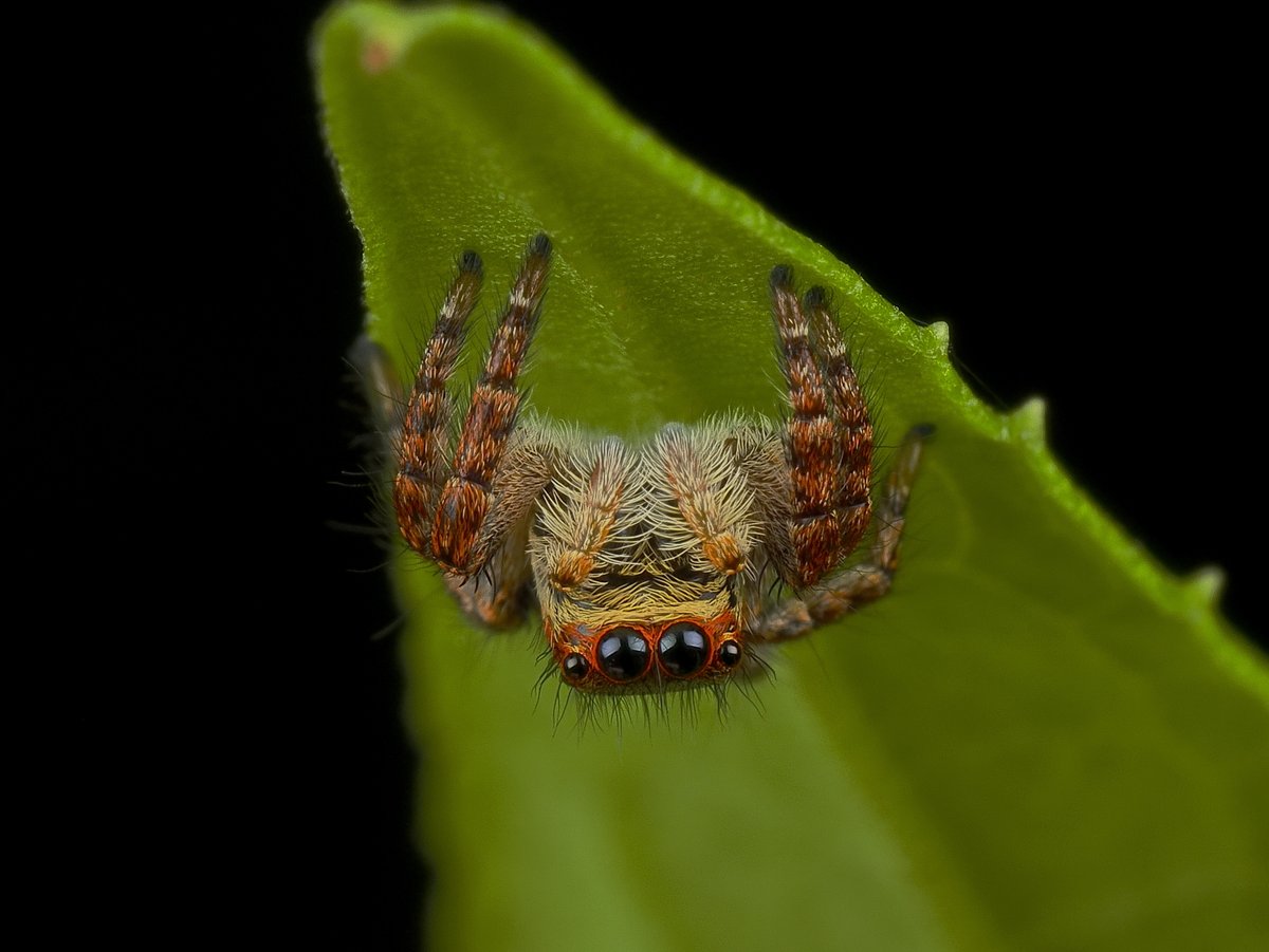 どんな景色？｜Hirokazu Nakao