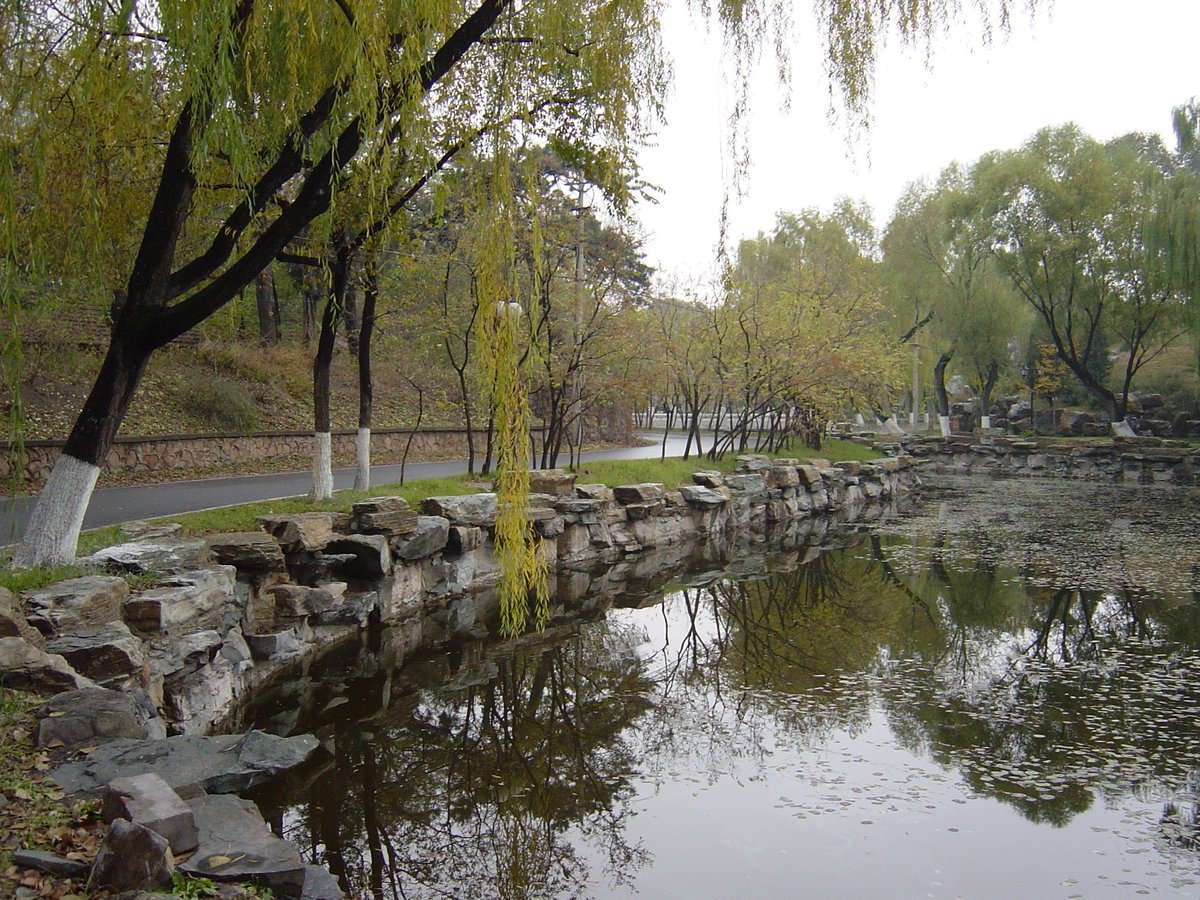 北京大学（1993-1995）写真集｜泉聲悠韻