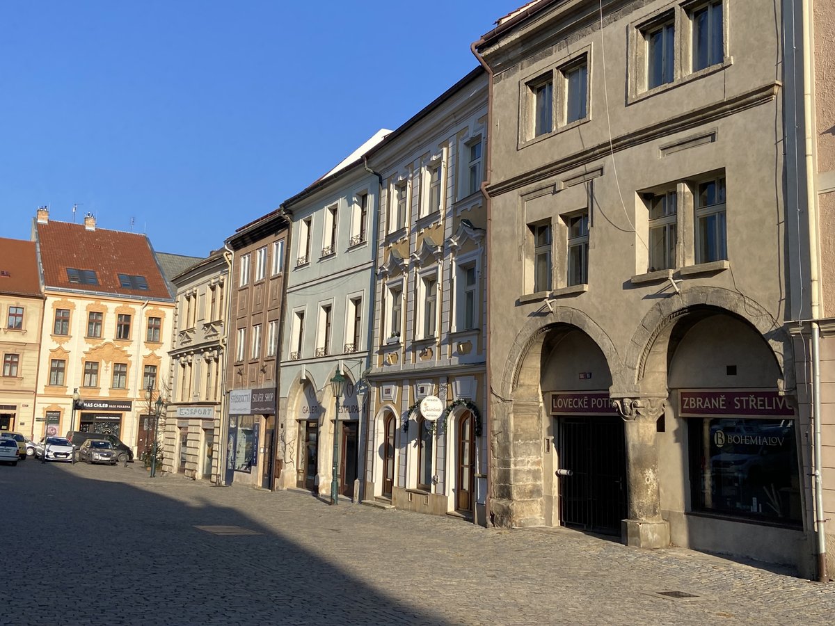 美しき世界遺産の街クトナー・ホラ〜テルチ〜そしてVはウィーンへ｜Viola