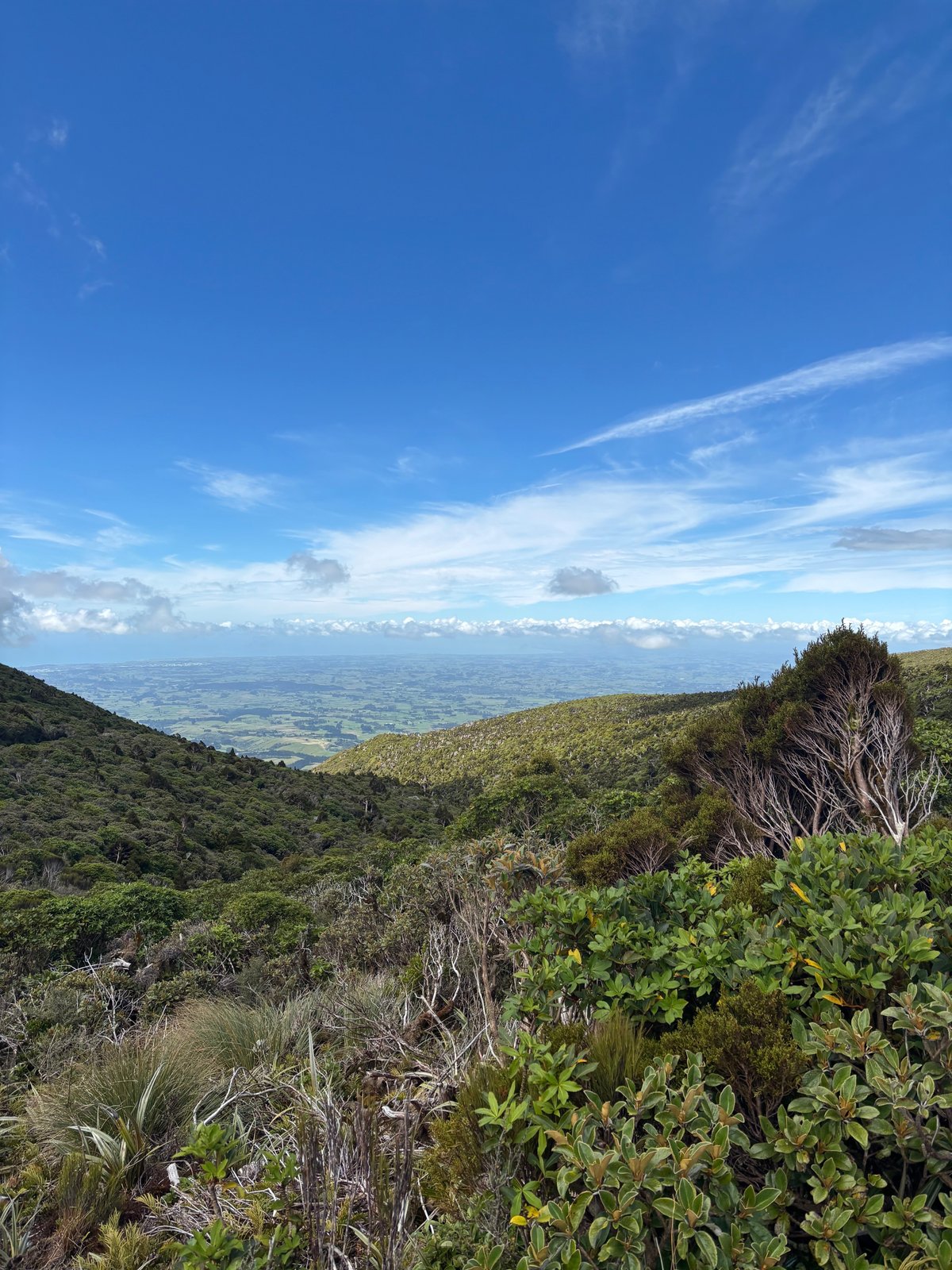 ハイキングと人生｜Playing Earth🥥