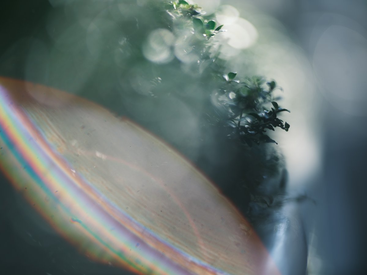 Phase OneユーザーがGFX100 IIを使ってみた正直な感想。｜Kaichi