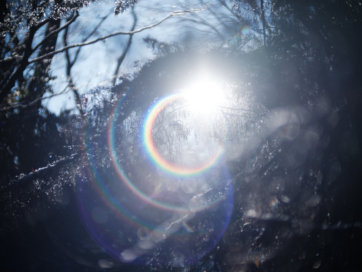 Phase OneユーザーがGFX100 IIを使ってみた正直な感想。｜Kaichi