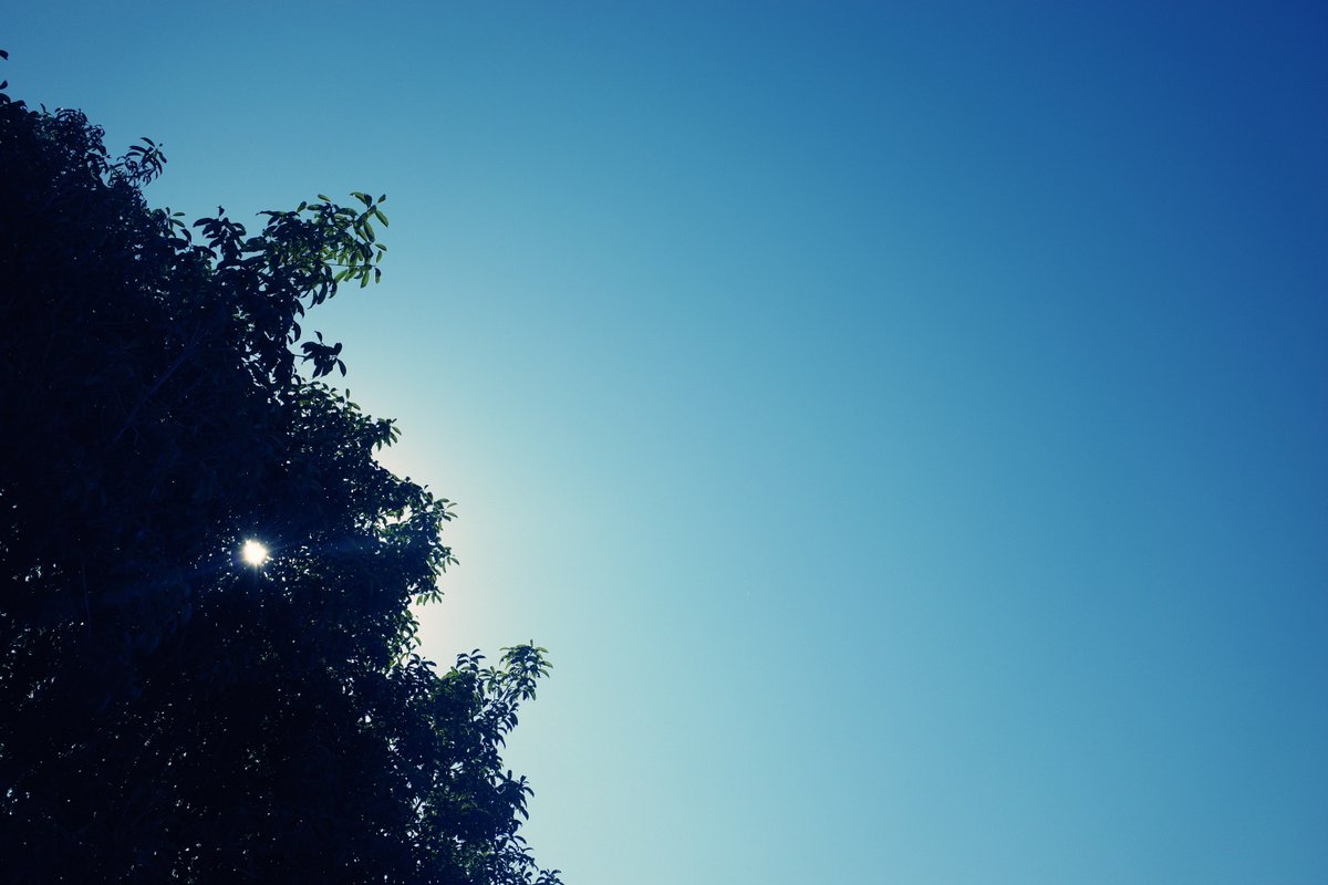 僕が毎日noteを書くと決めた2つの理由｜せきたつや｜娘と人生やりなおし中