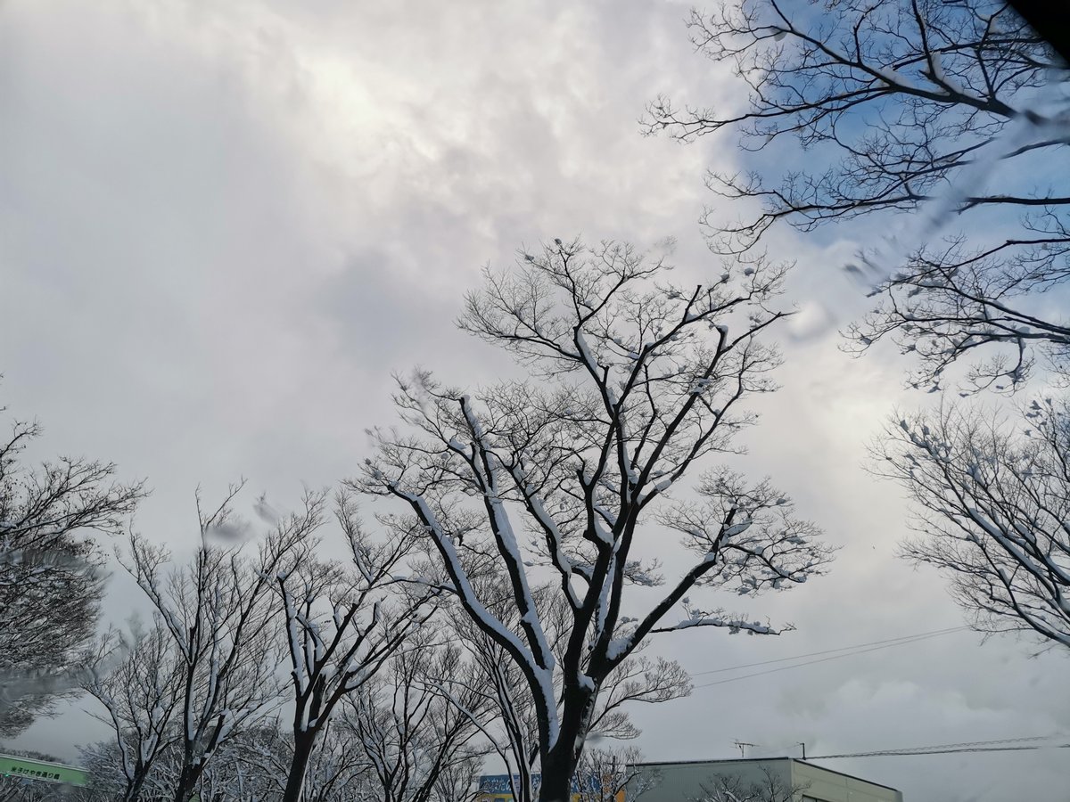 水槽から海へ、そして雪が降った｜tea