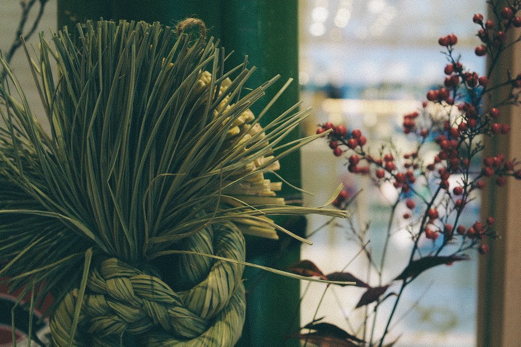 Biogon T* 2.8/28 ZM #54｜kaz_photo