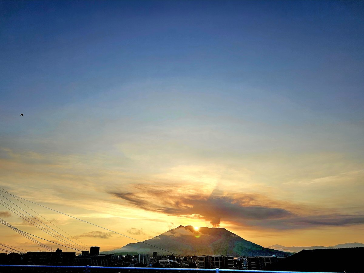 Harness…‥連想｜jolly_higher_flyer