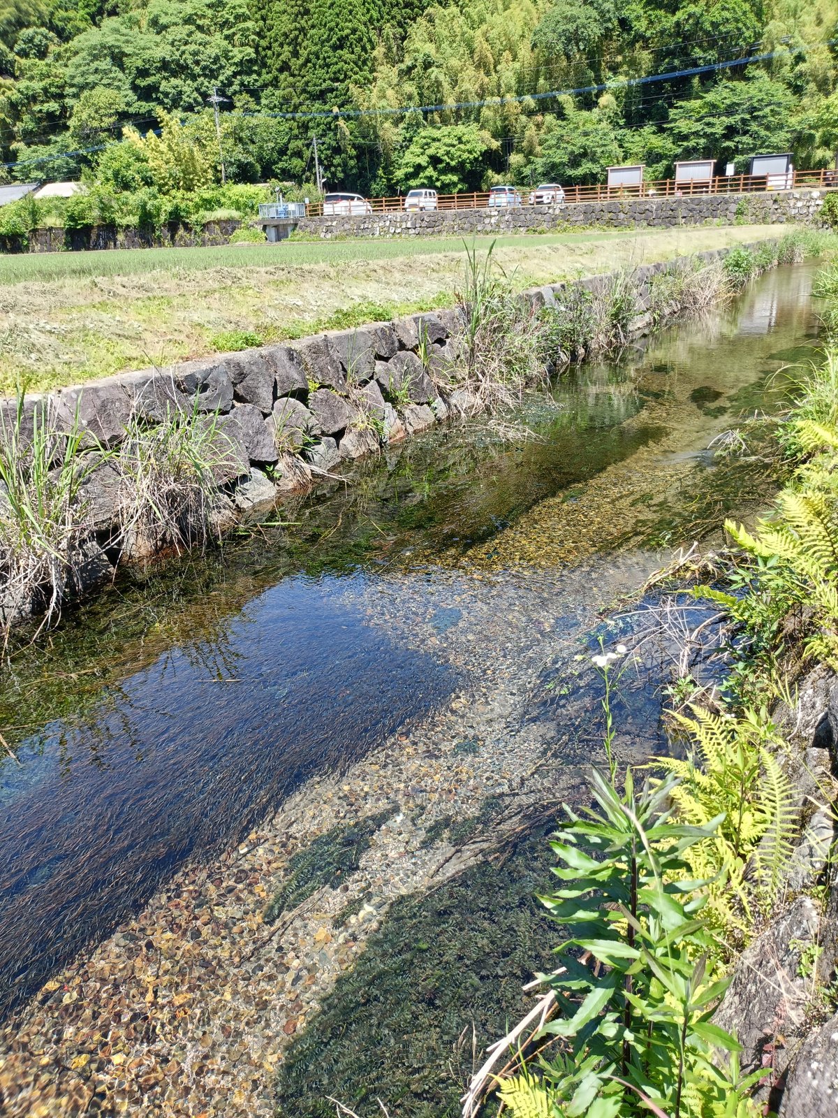 [Eng.] Water in Daily Life (Yoshimatsu, Yusui)｜湧水町地域おこし協力隊 小笠原