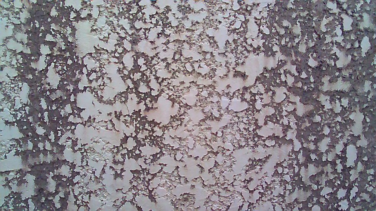 謎のTHUMB CAMERAで遊ぶ｜夢望庵 / Mubou-an