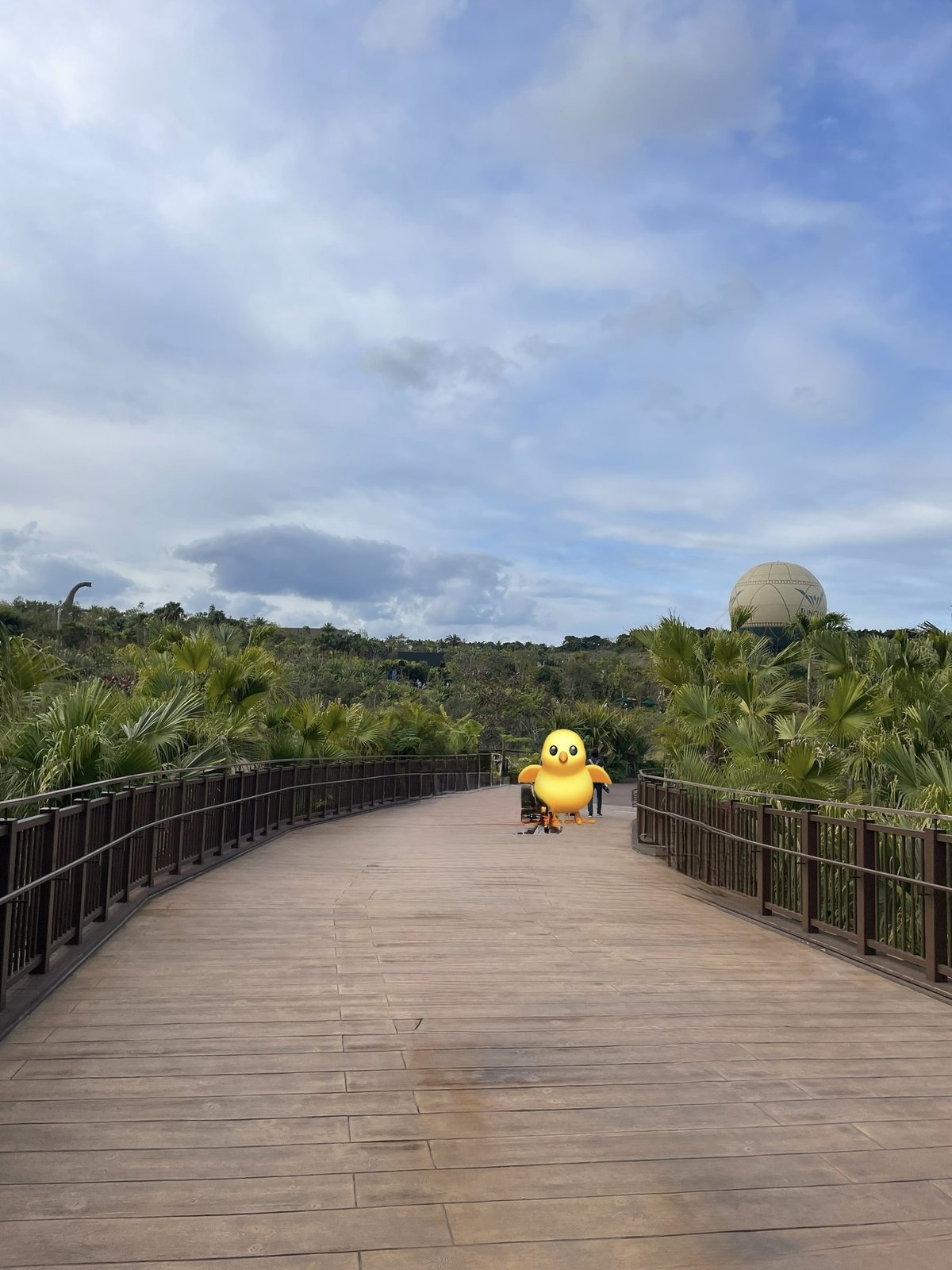 2025-26 年末年始 沖縄 【2日目】｜tomomo