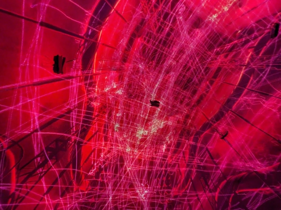 PULSE DOMEを体験してきた｜もじゃ