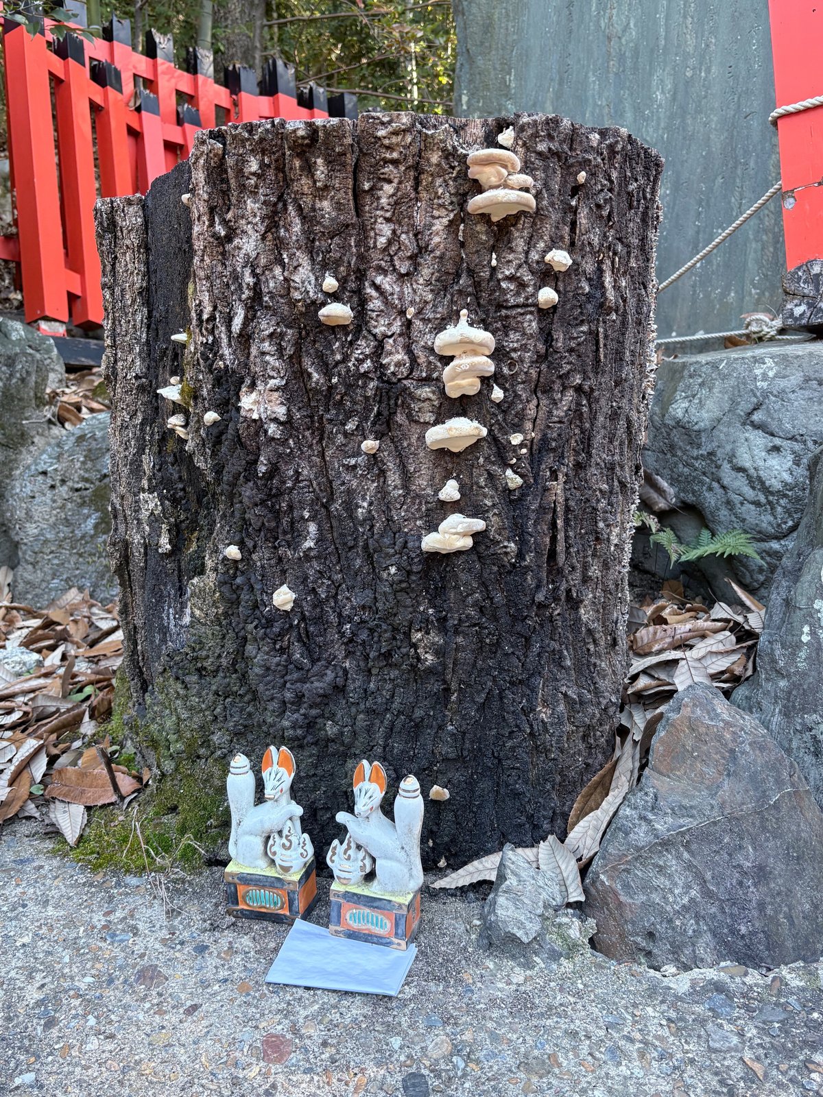 2026年1月 京都への旅‼️｜TETSU