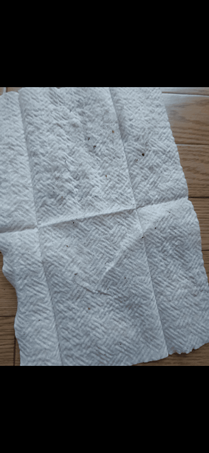 だーかーらーっ！｜danshuri_1234567