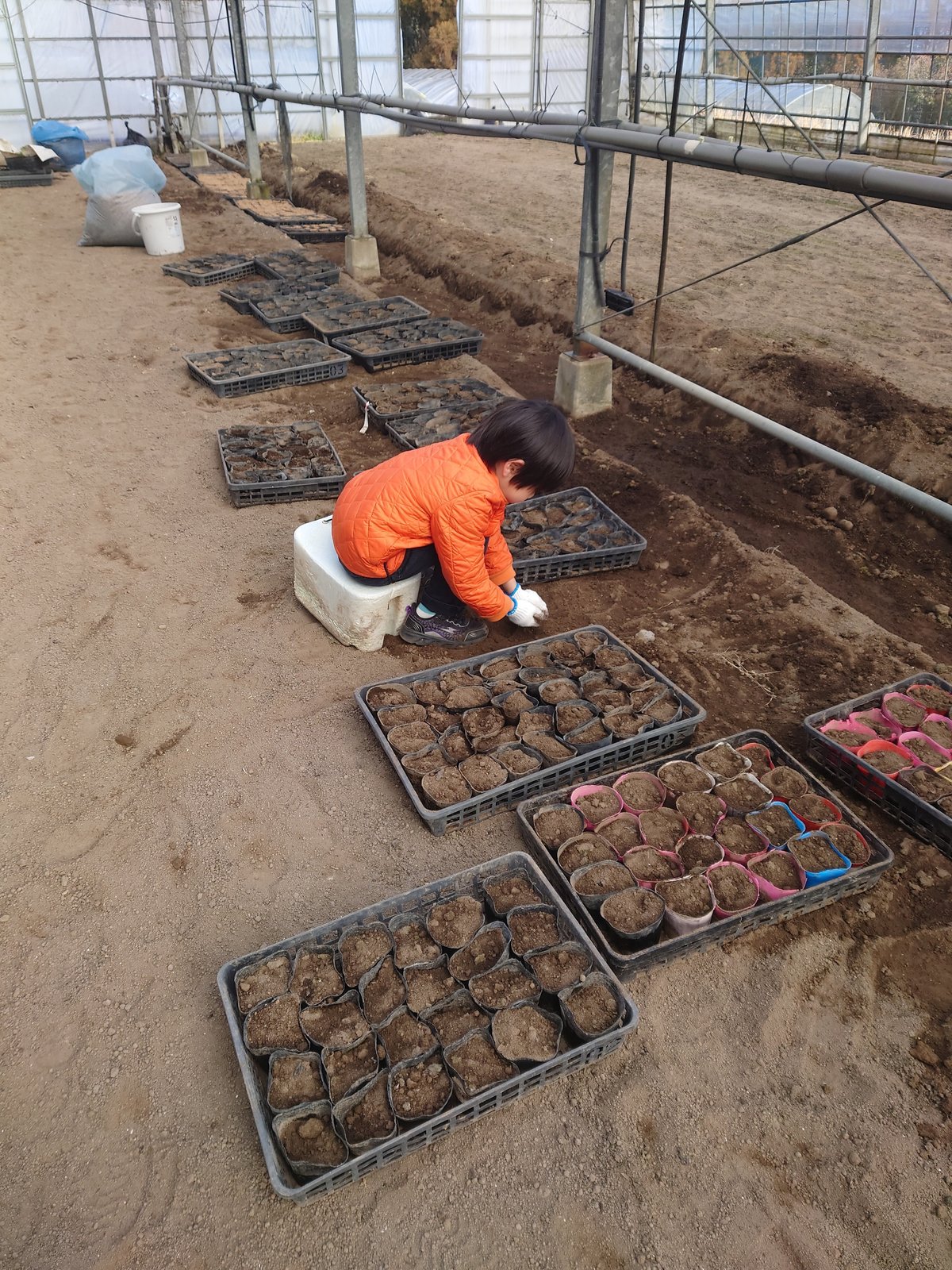 ①Part3 『そこにあるのはキラキラ輝く宝石達』｜toki 星野リゾート