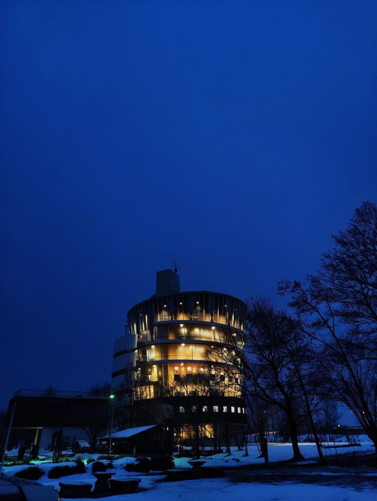 回復とは「自らを感じられる」こと――揺らぐ竹のリハ物語｜アル｜せいたいする心と手