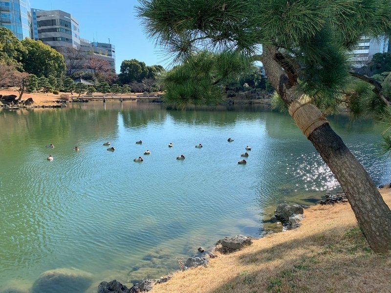 A Taste of Local Life in Minato: Comfort Food and a 300 Year Old Garden ...