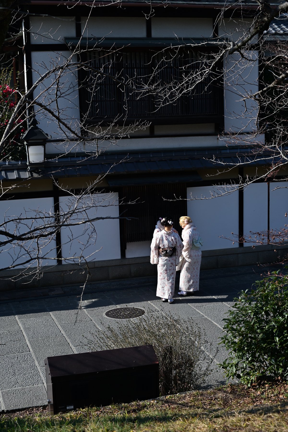 光を巡る逍遥No.001｜Masayasu