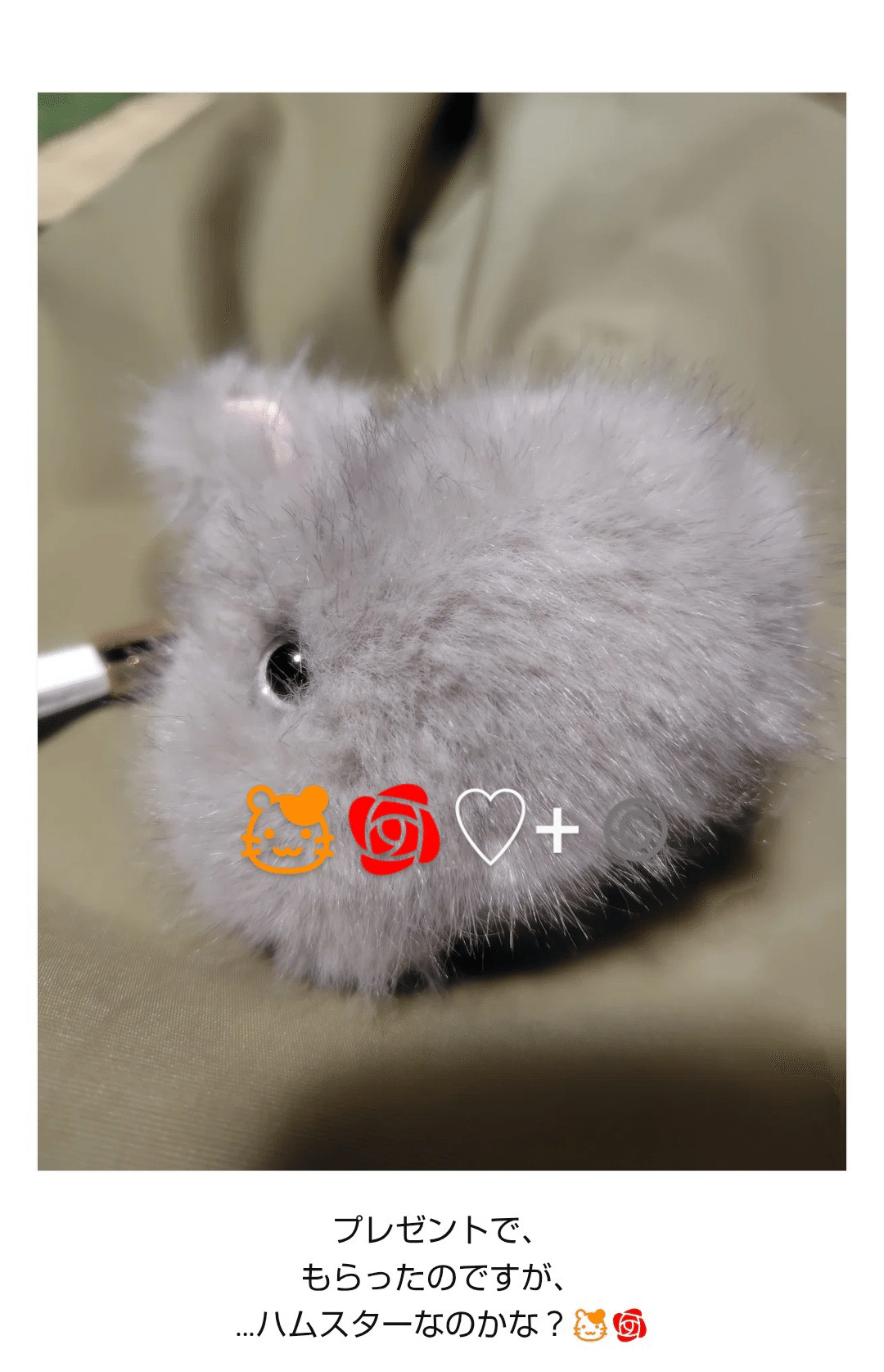 🐹🌹《改めました。また自己紹介はじめました。好きなnoteアイドル もちmochiです♡+》🌹🐹｜もち mochi🐹🌹♡+©️【noteアイドル🍇🍨♡+】㊗️27万ビュー突破🌞🌷🌈