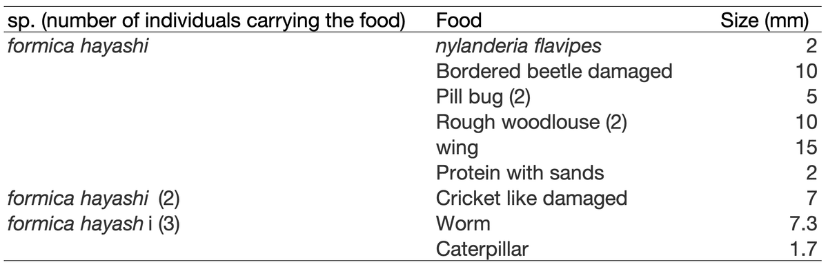 新潟の佐渡にいる蟻が運ぶ食べ物について｜YuYu's Lab
