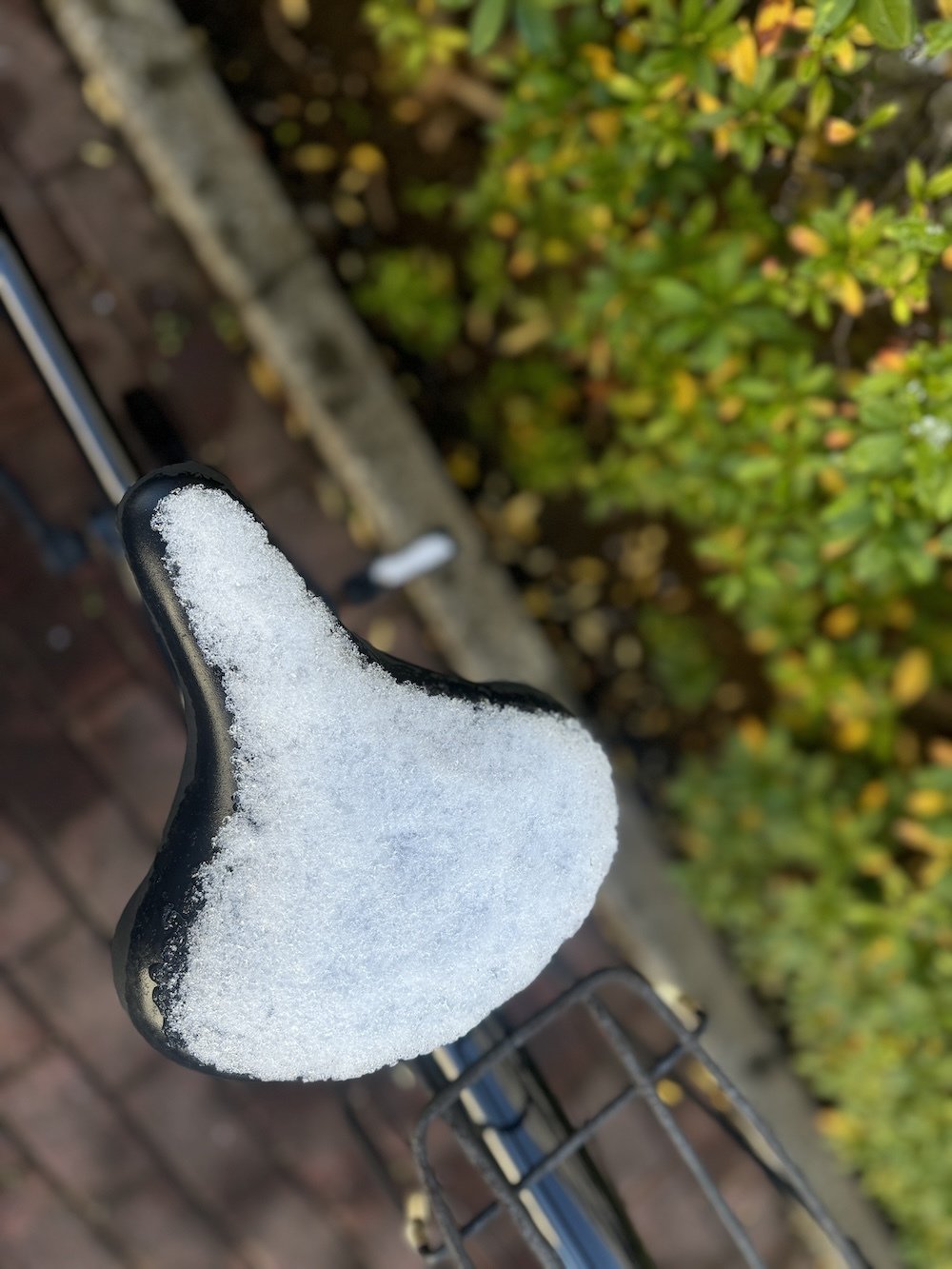 2026年-日本の”四季”に戻って欲しいJanuary・・・季節模様：初雪｜happea-nyanko