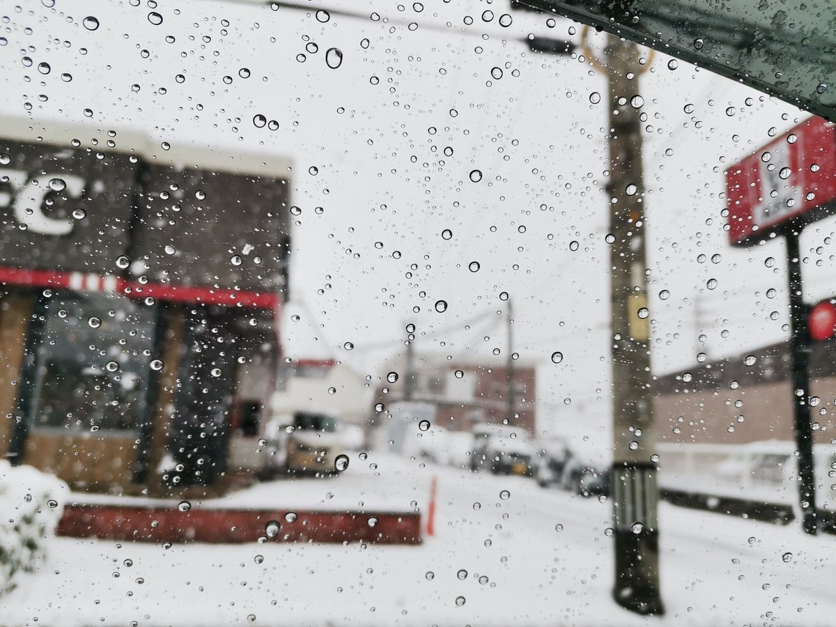 水槽から海へ、そして雪が降った｜tea