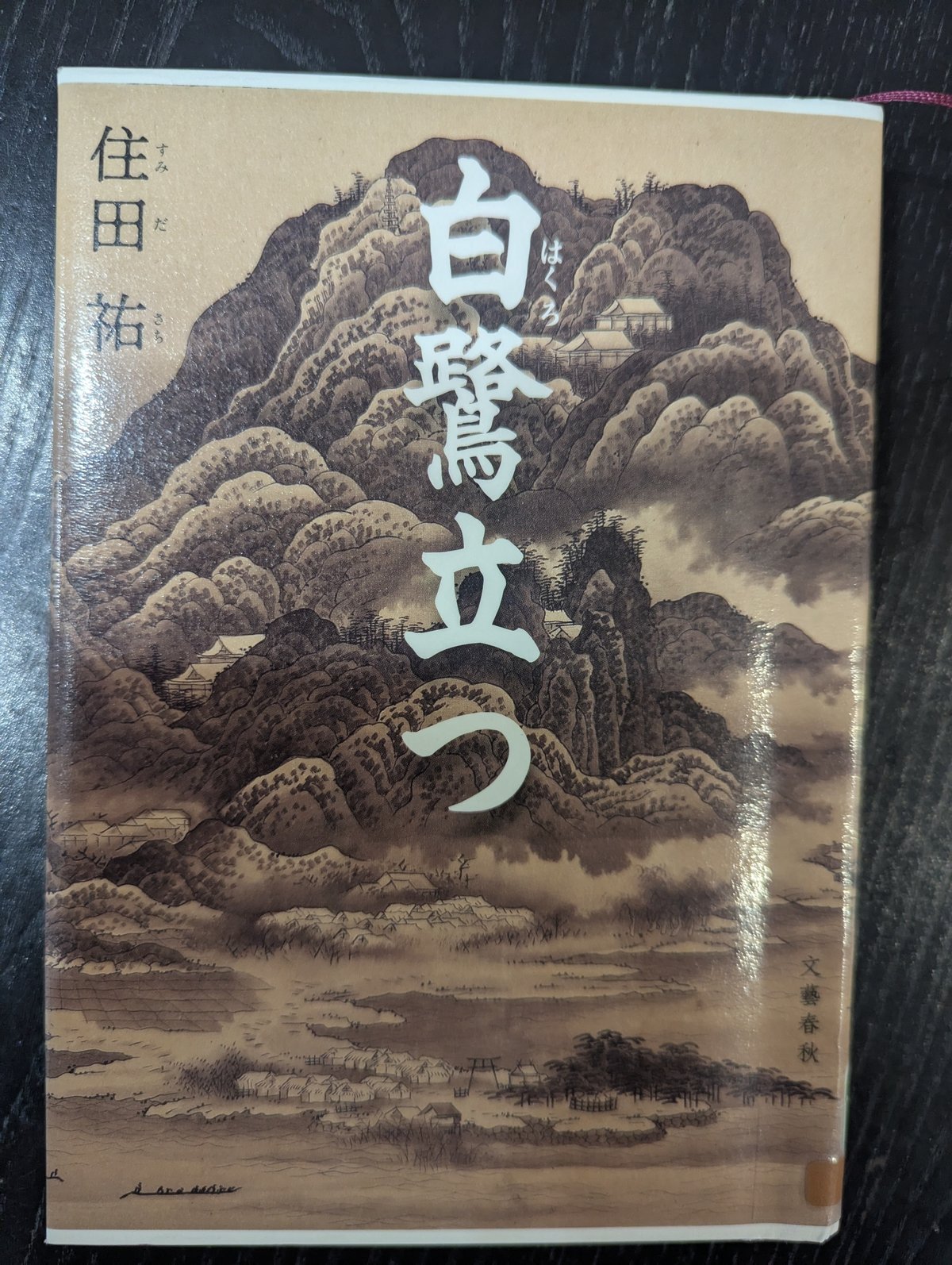 受賞作発表までに読んだ本｜Chie Ishikawa∣自分の想いを言葉にする魔術師
