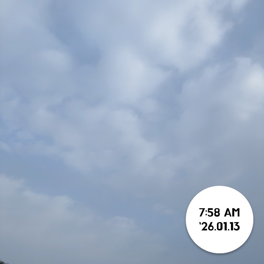 春にして君を離れ Absent in the Spring｜OHNO Hiroshi